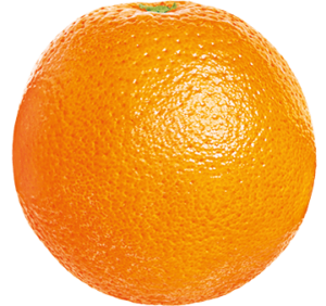 Our fruit range | Jaffa Fruit