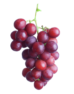 Our fruit range | Jaffa Fruit