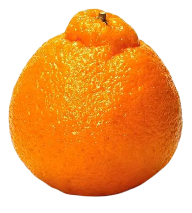 Our fruit range | Jaffa Fruit