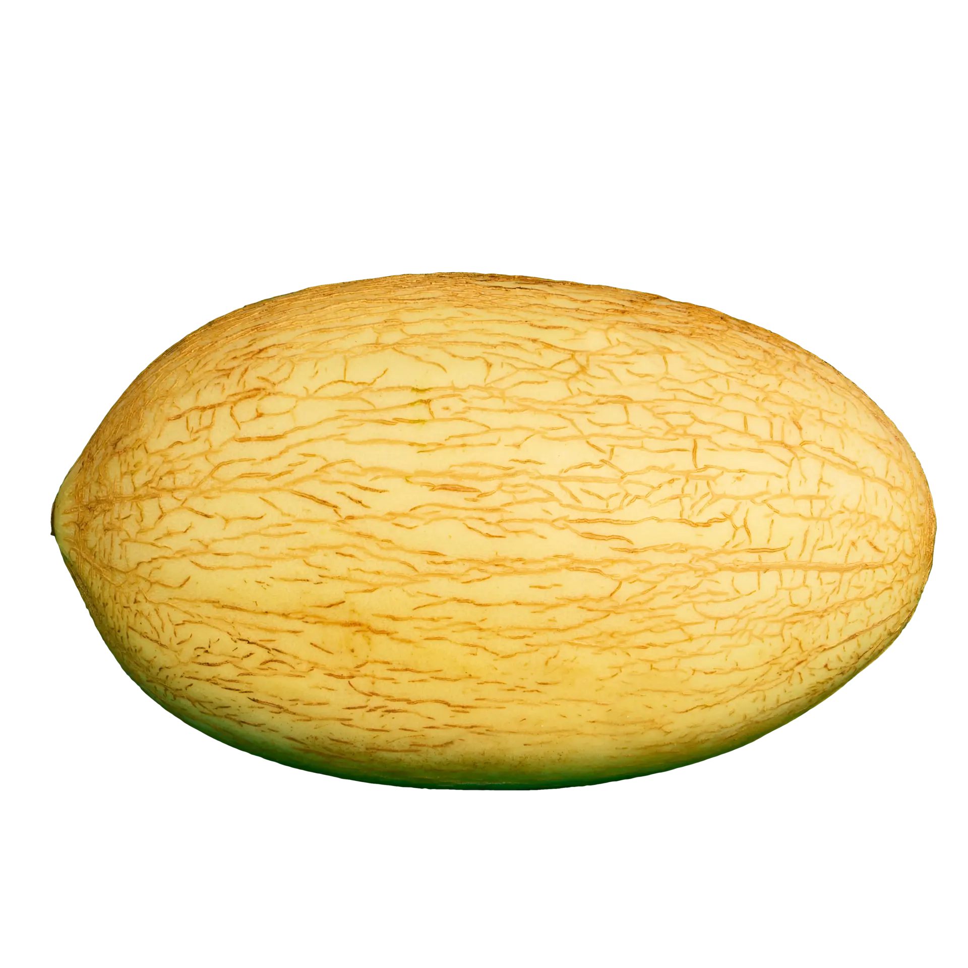 Jaffa Summer Melon | Jaffa Fruit